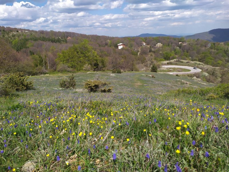 Общинска организация на инвалидите Сливен В Сливен ще се проведе обществено обсъждане на