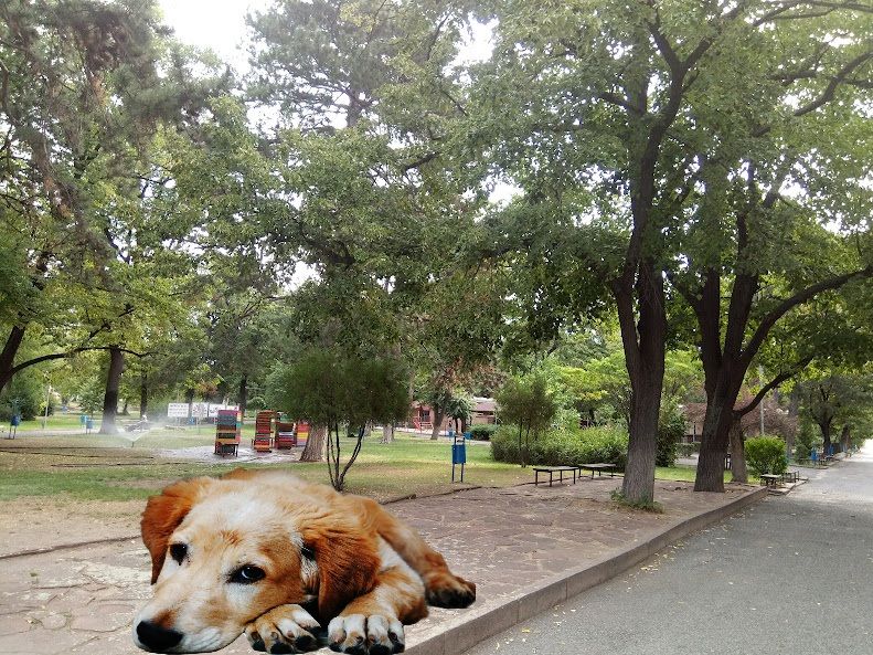 Общинска организация на инвалидите Сливен Община Сливен стартира кампания за преброяване на